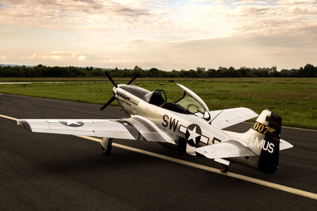 Gallery - Scalewings