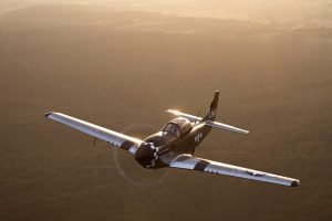 The SW-51 MUSTANG - Experience the legacy of the Mustang with the SW-51 ...