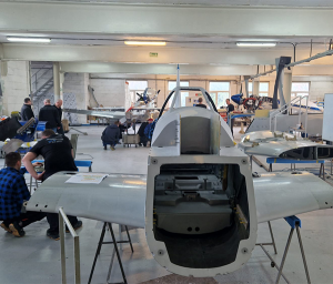 The SW-51 MUSTANG - Scalewings - Iconic design meets 21st century ...