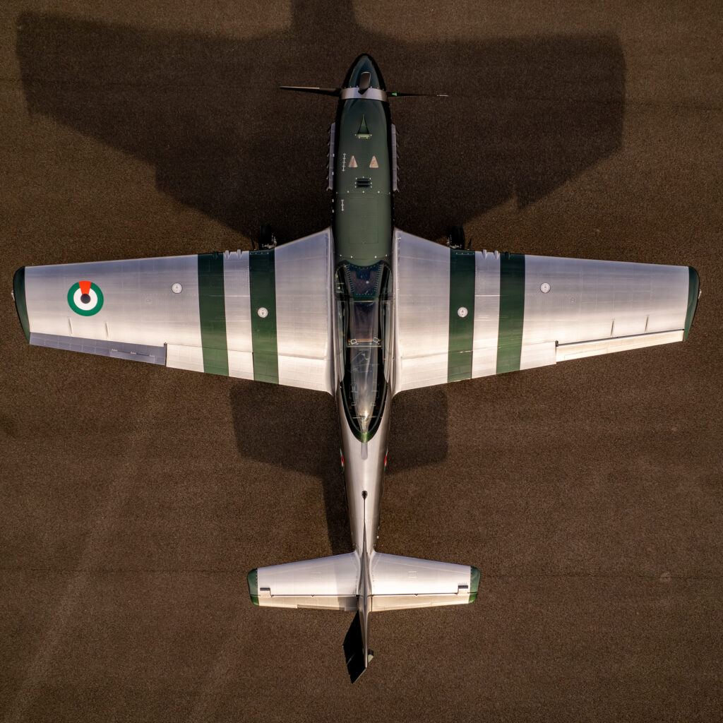 Gallery - Scalewings