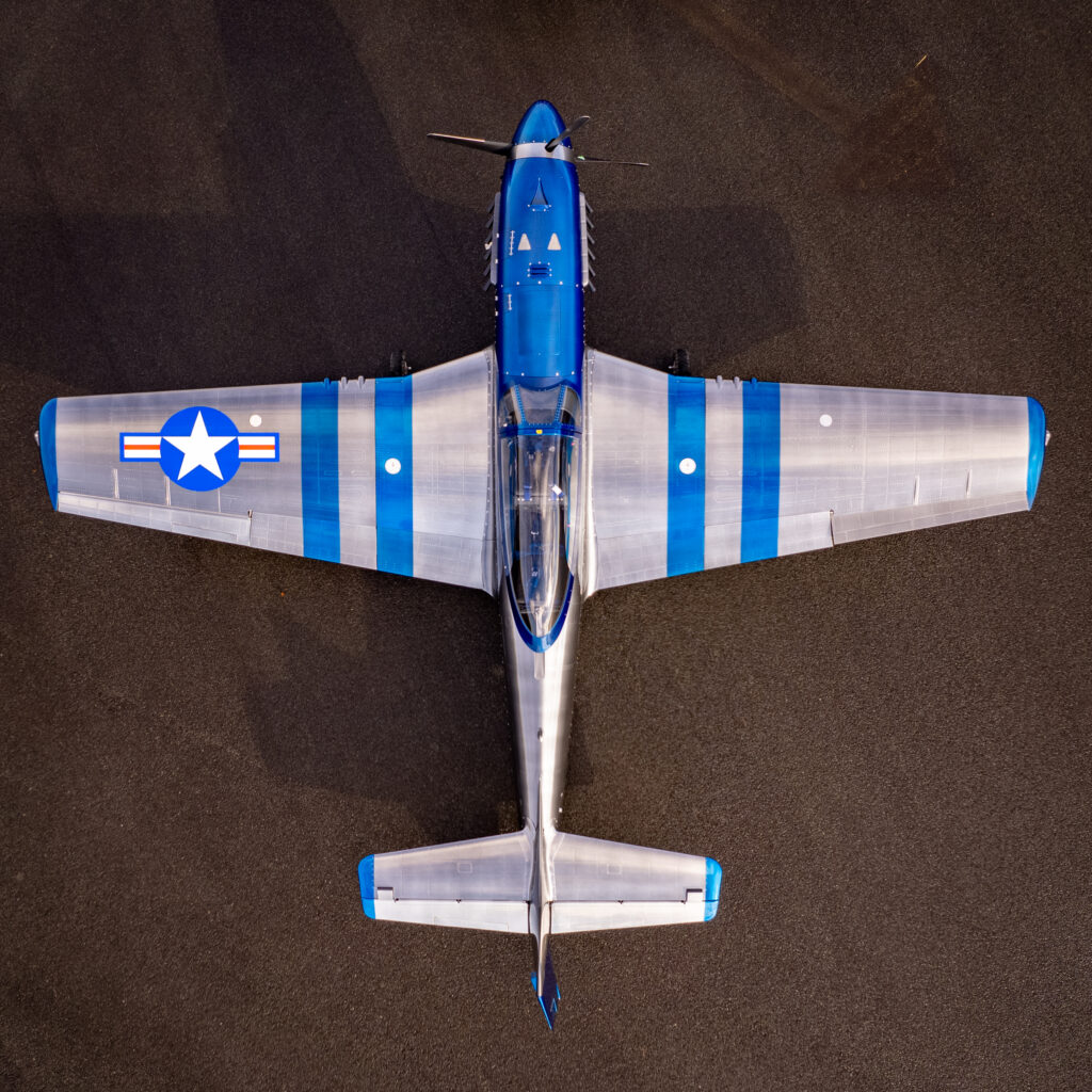 Gallery - Scalewings
