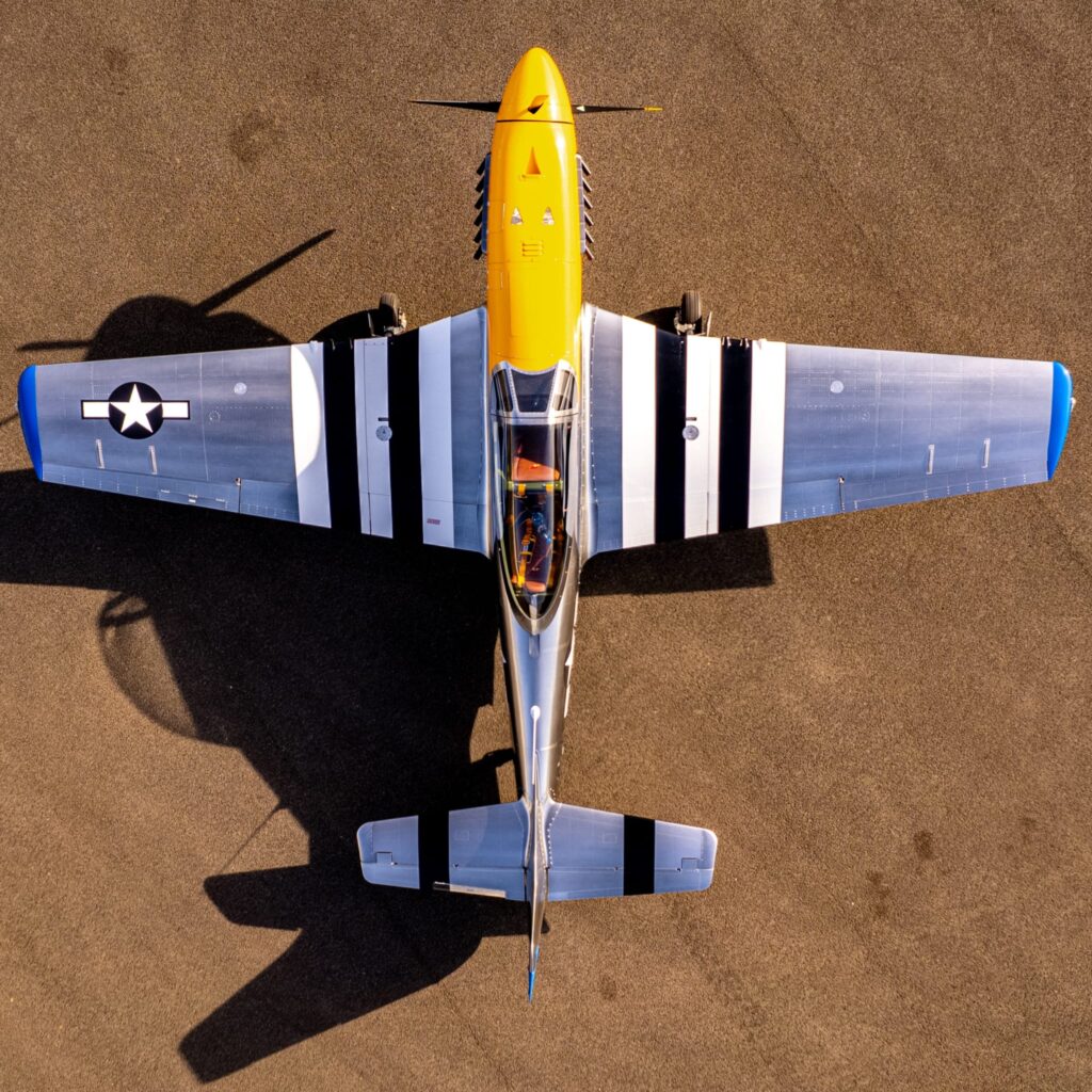 Gallery - Scalewings